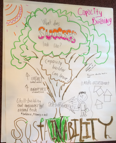 What We've Learned About Tech Capacity Building - FabRiders